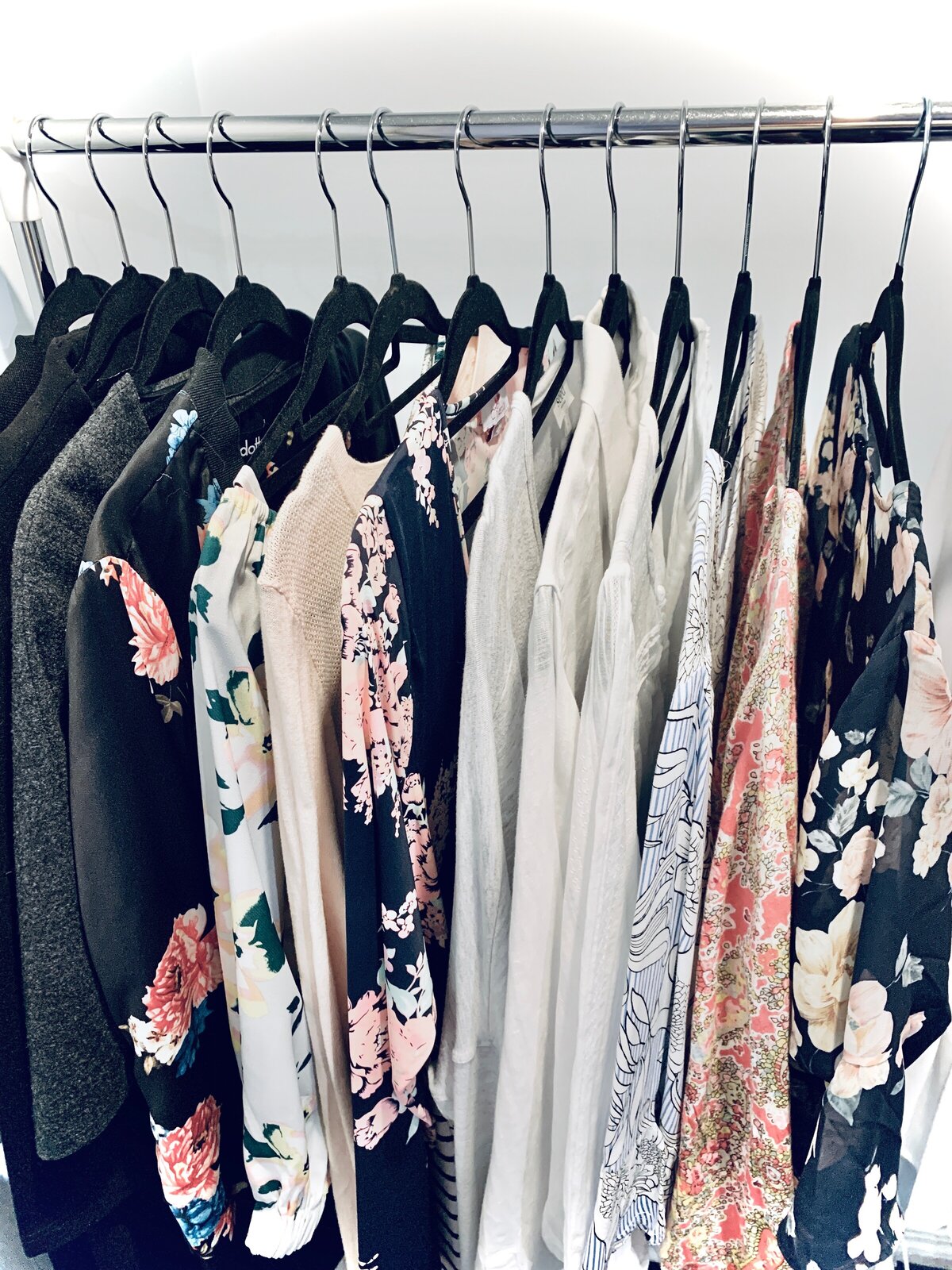 Organised | Organiser | Bay Of Plenty, New Zealand