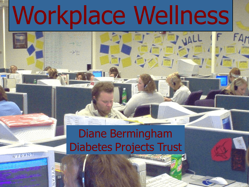 Presentation NZSSD - Workplace Wellness 2009