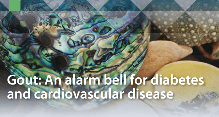 DCSS data used by the CMDHB Māori Gout Action Group