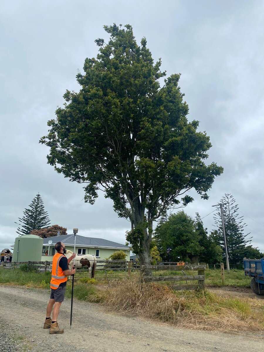 Part 2: Site Information Collection | An Outline of the Subdivision ...