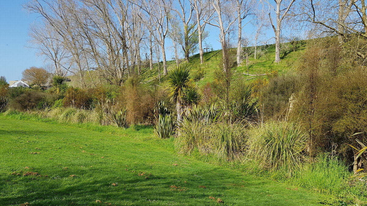 Meadow Walk Cambridge | The Cambridge Tree Trust