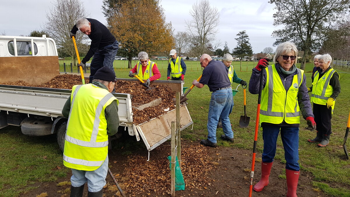 Cambridge Tree Trust | Donations