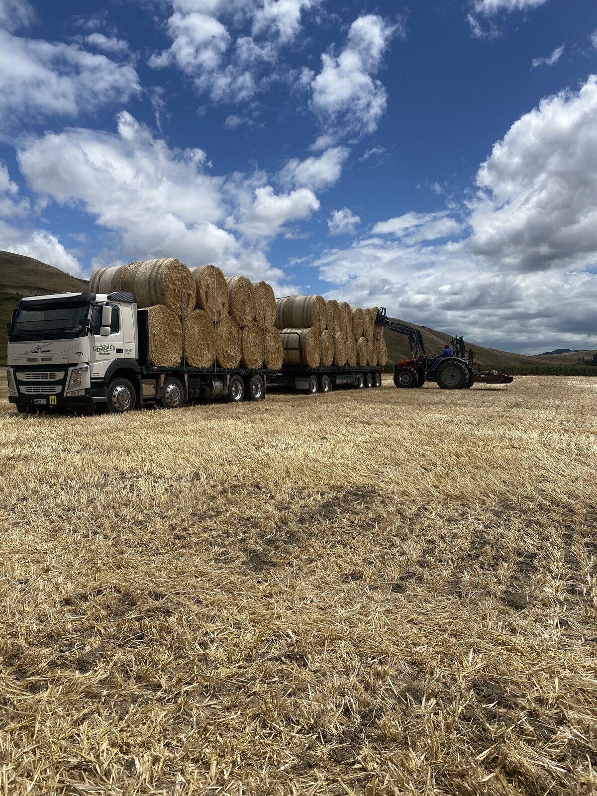 Transport Services | Everfresh Ltd