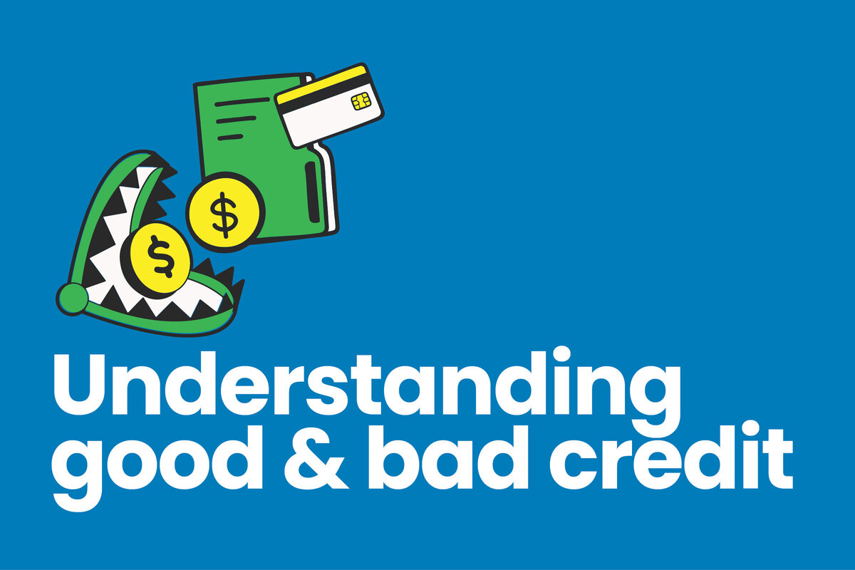 Understanding good credit and bad credit | Levin Budget Service