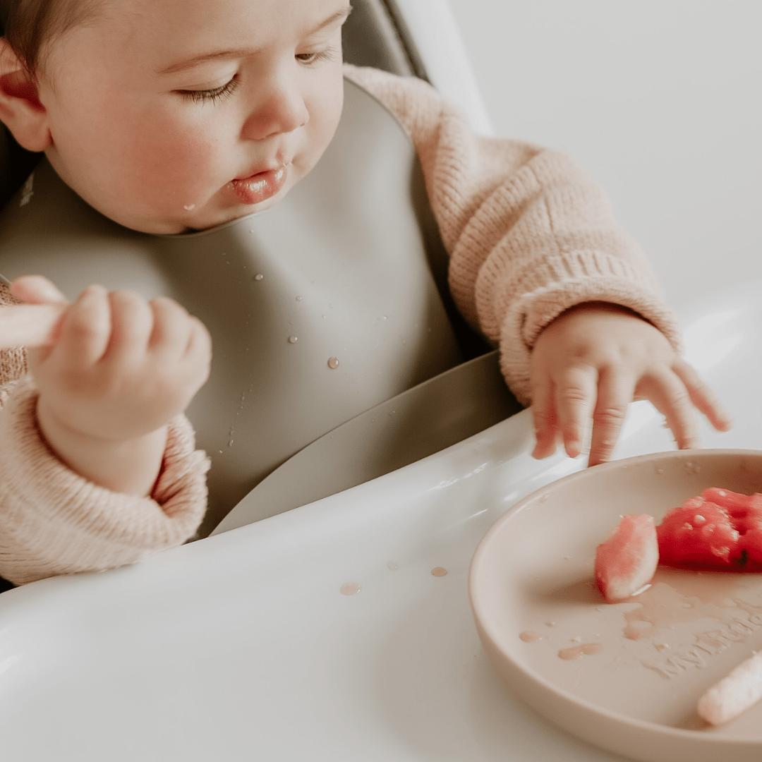 What is Baby Led Weaning? | My Little Me
