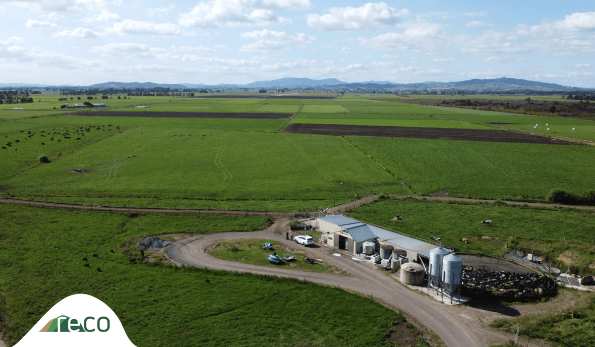 Productive Peat - 420 Cow Contract Milking Role | RECO