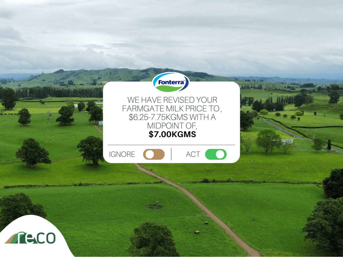 Now is the time to Act | RECO