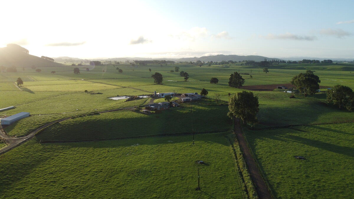 Best in Class - 250 Cow Contract Milking Role | RECO