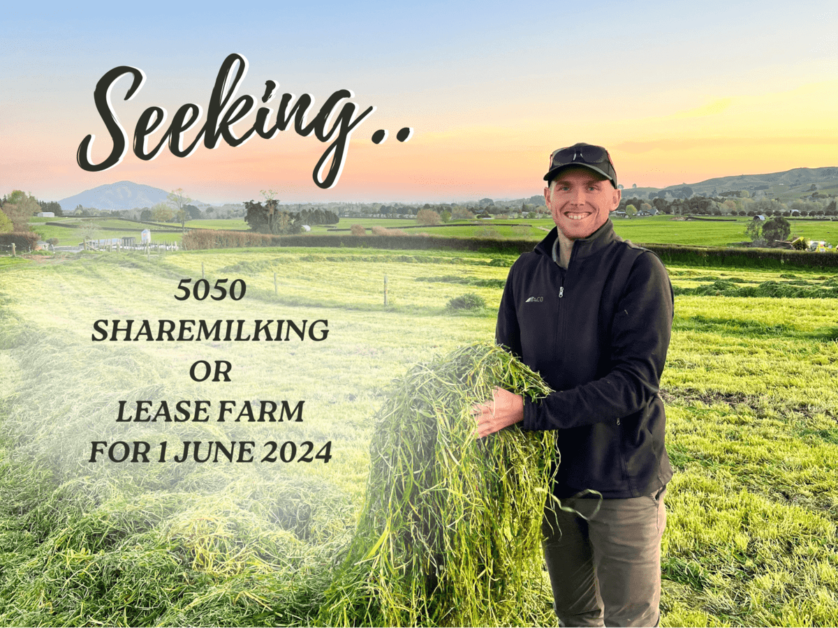 5050 Sharemilking or Lease Farm Opportunity | RECO