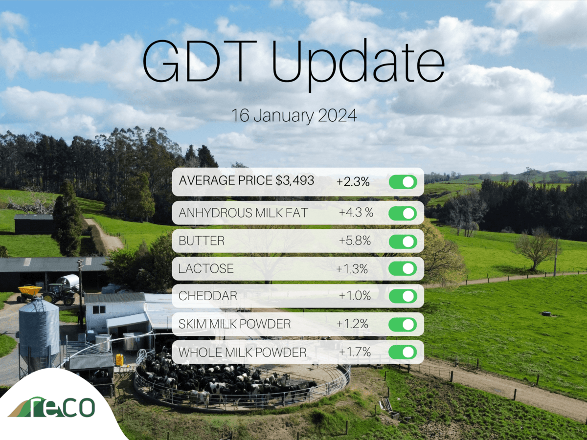 GDT Update - 16th January 2024 | RECO