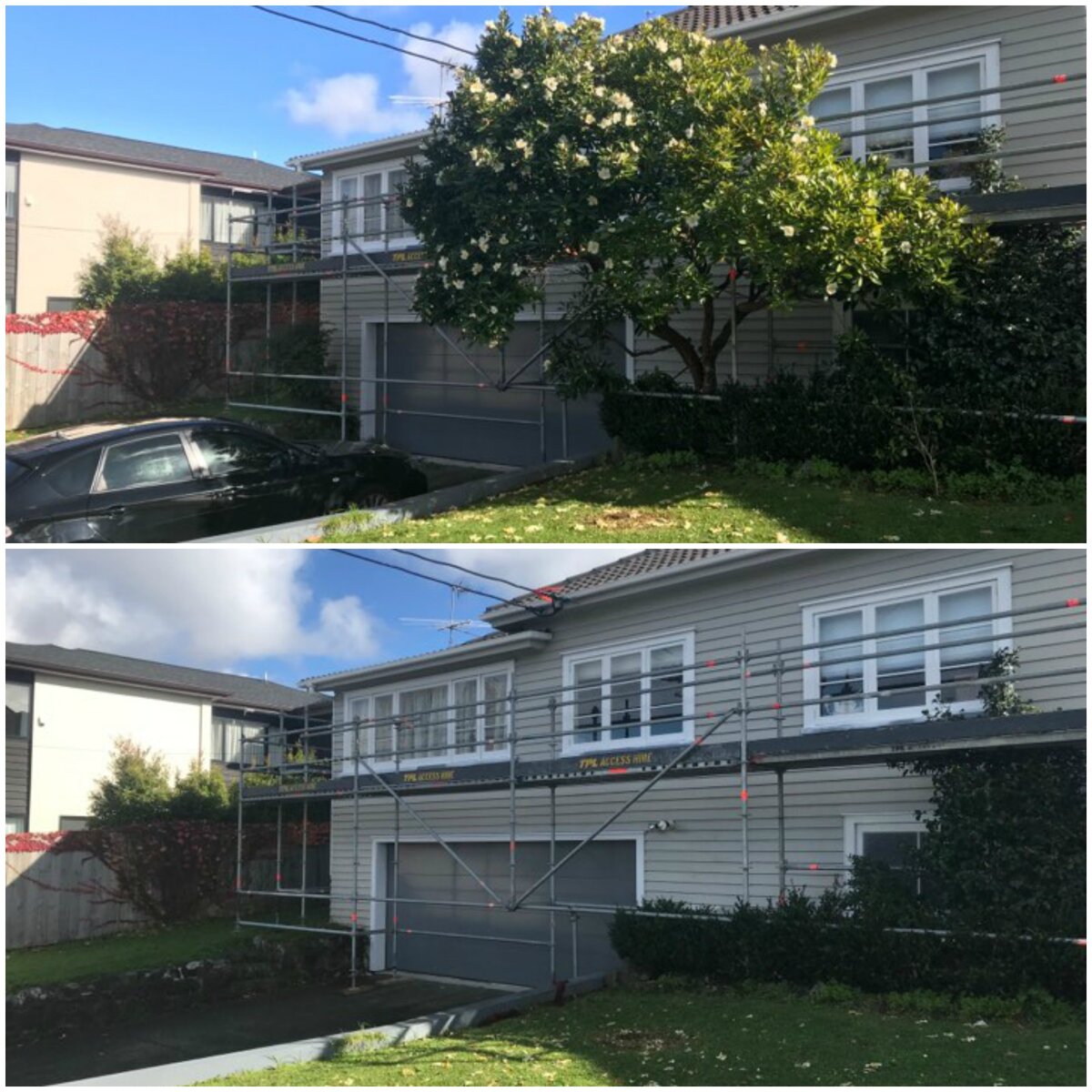 Arborist Shore Tree Services North Shore | Shore Tree Services