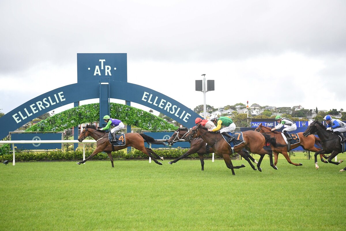 Wexford Stables | Wexford Make Decisive Move On The NZB Kiwi