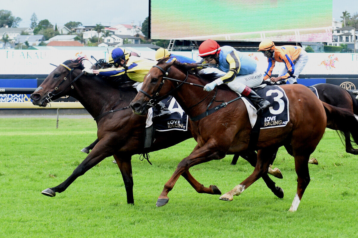 Wexford Stables | Princess Rihanna back to her best at Ellerslie