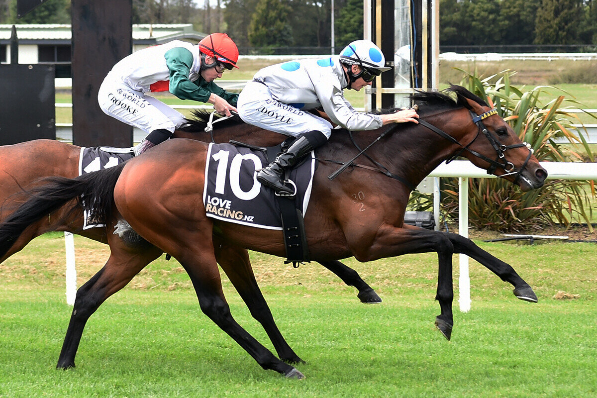 Wexford Stables | Powerful debutant kicks off Wexford treble