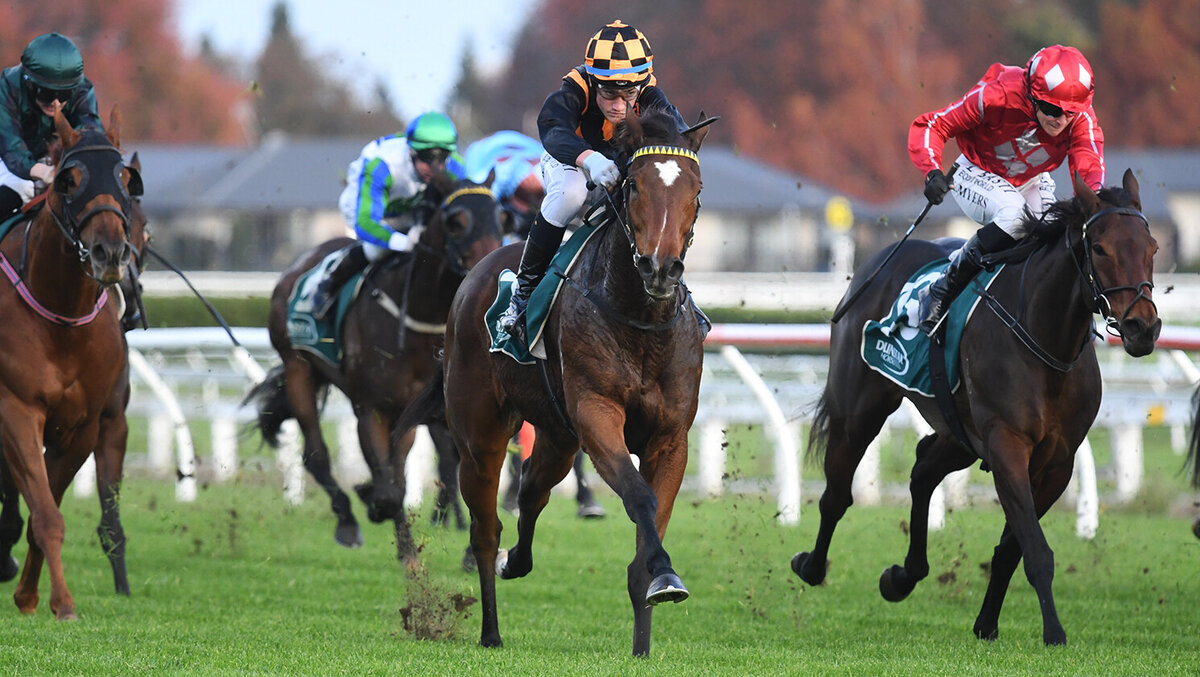 Wexford Stables | Little Bit Of Love chasing four-straight at Pukekohe