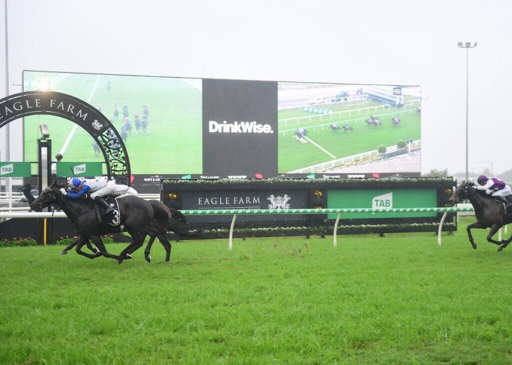 Wexford Stables O Sullivan Looking To Repeat Derby Success wexford-stables-o-sullivan-looking-to-repeat-derby-success