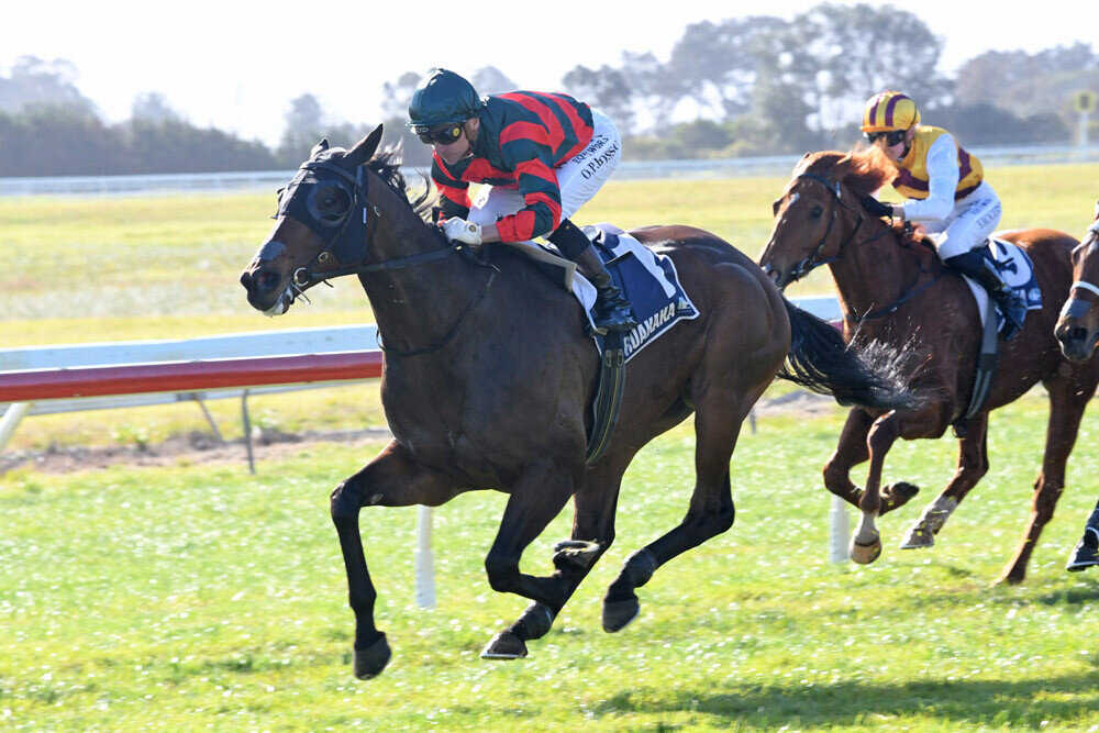 Wexford Stables | Dragon Leap locks in Foxbridge Plate