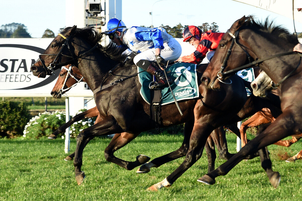 Wexford Stables | Rockspell ready for next step