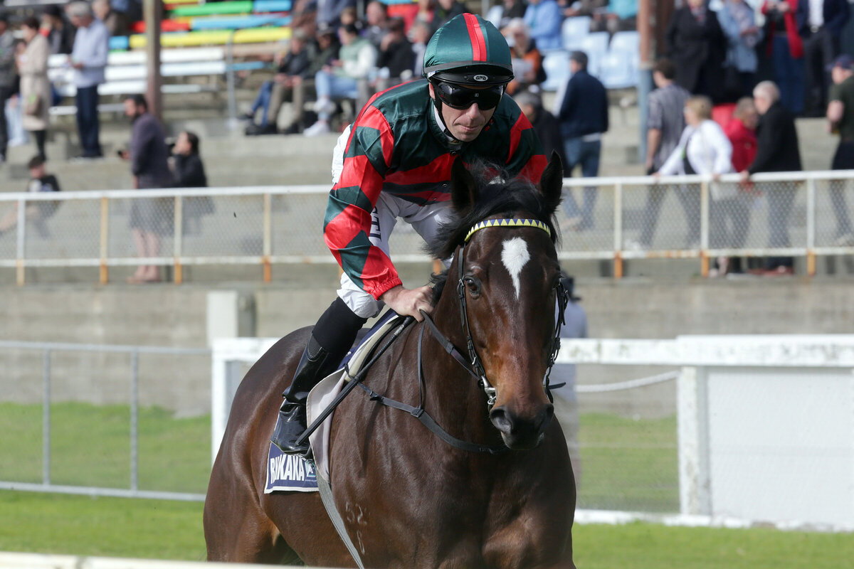 Wexford Stables Stable On Trail Of Group One Double Wexford Stables Stable On Trail Of Group One Double