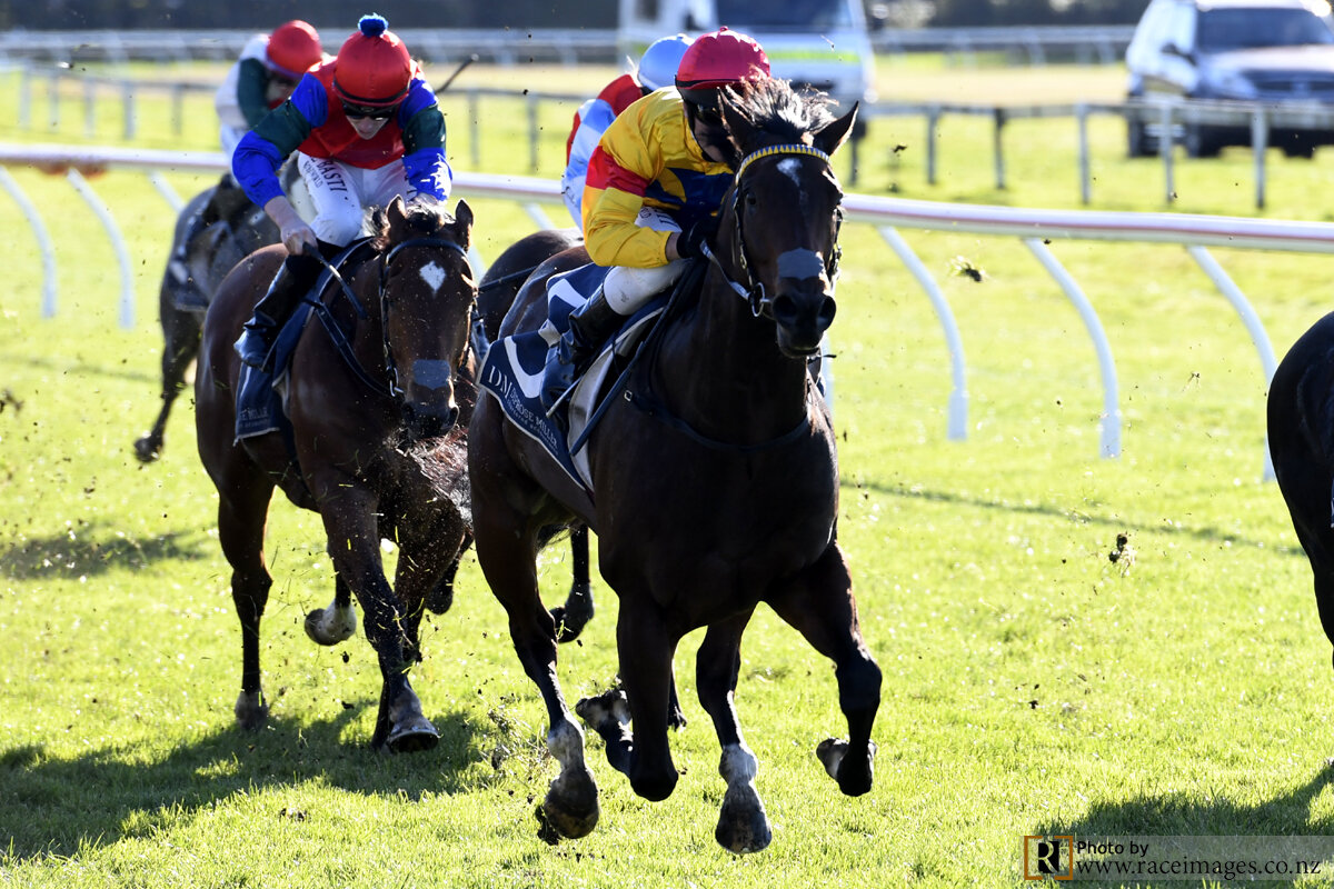 Wexford Stables | Te Rapa Runners - 3/8
