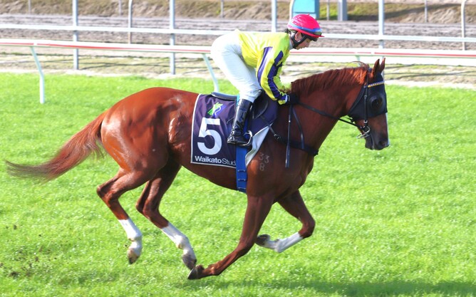 Wexford Stables | Meet The Team - Jade Goodwin