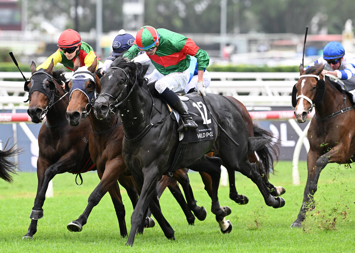 Wexford Stables | Lance O'Sullivan | Andrew Scott