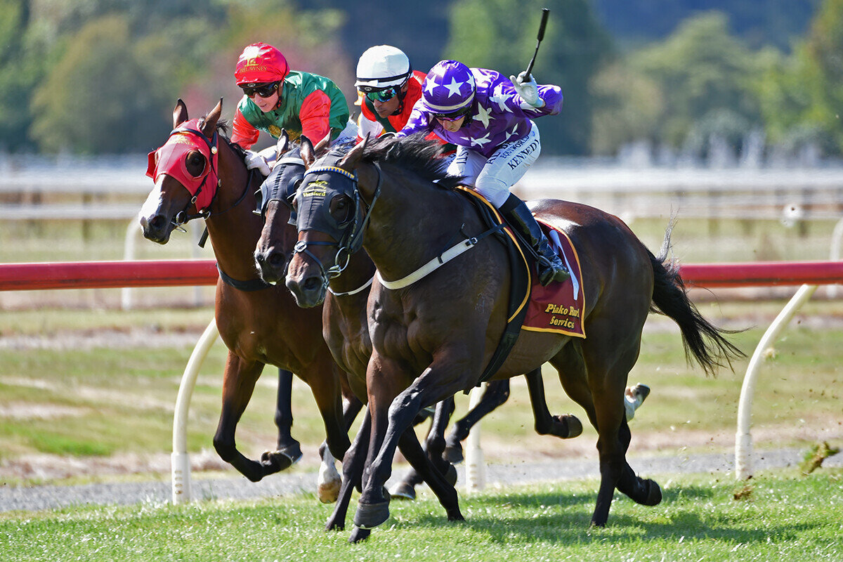 Wexford Stables | Winners
