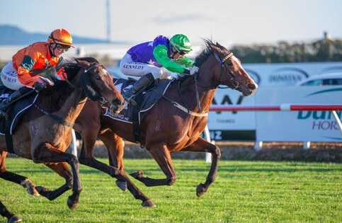 Wexford Stables | Lance O'Sullivan | Andrew Scott