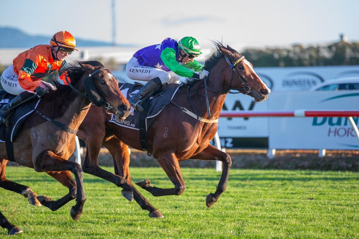 Wexford Stables | Lance O'Sullivan | Andrew Scott