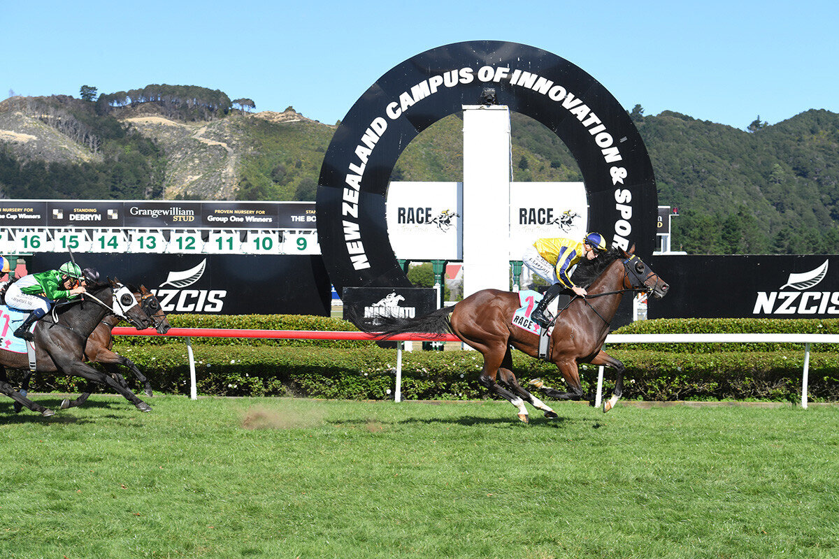 Wexford Stables | Winners