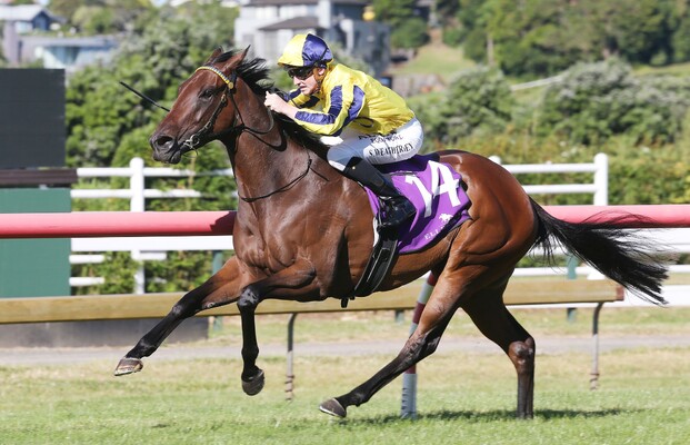 Wexford Stables | About