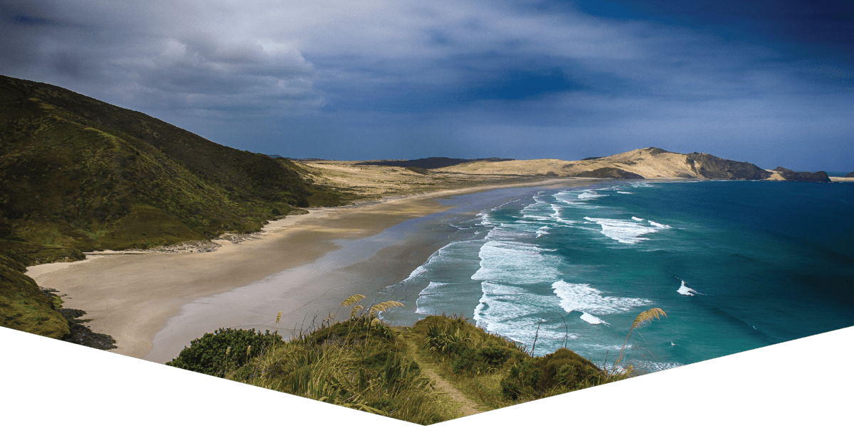 Coromandel Heli Pick-Up & Drop-Off Experience | Rotor Work