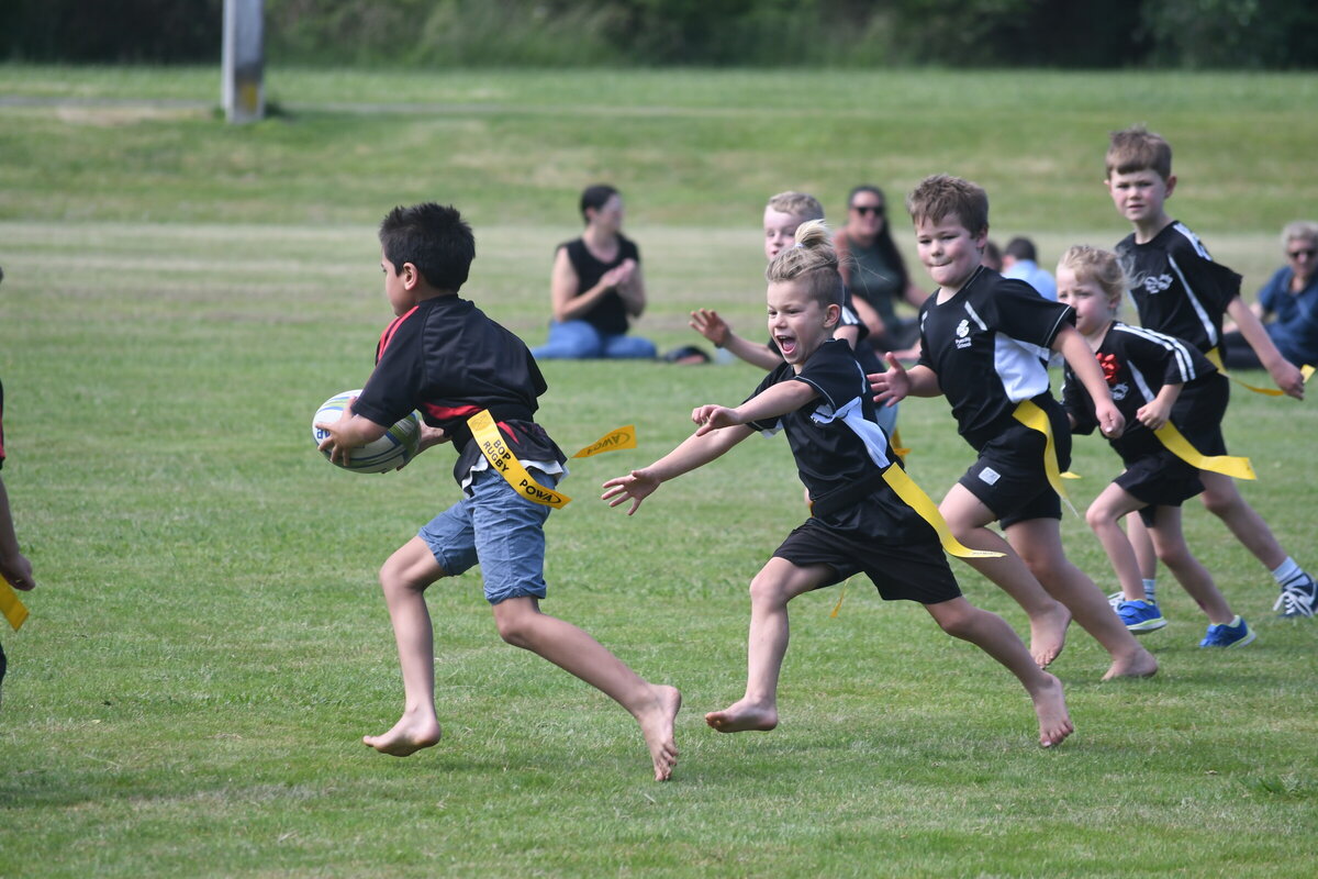 Bay of Plenty Rugby Union | TECT
