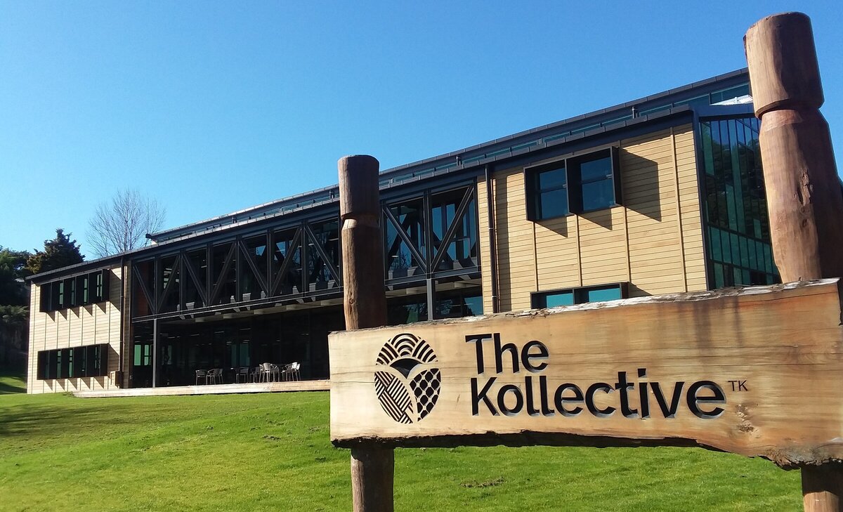 TECT’s first impact investment, The Kollective turns five this month | TECT