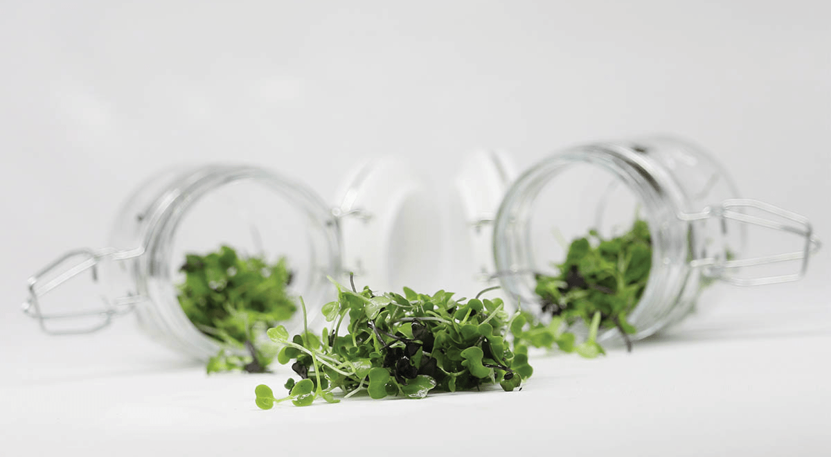 Microcosm Brand Portfolio | Metro Marketing