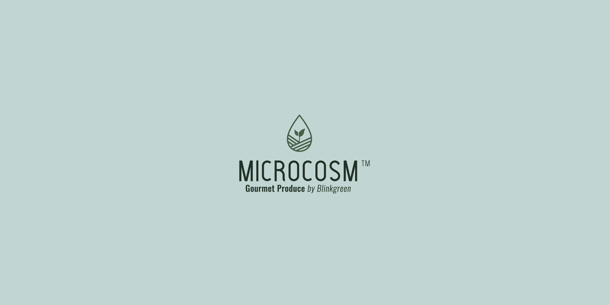 Microcosm Brand Portfolio | Metro Marketing