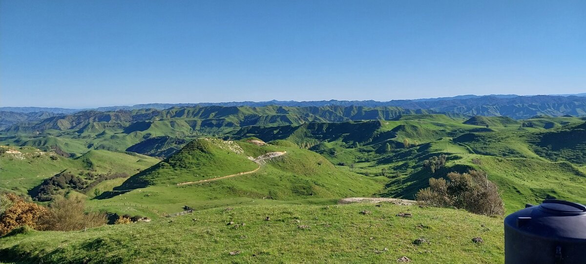 Details | Blazing Hills | OCR