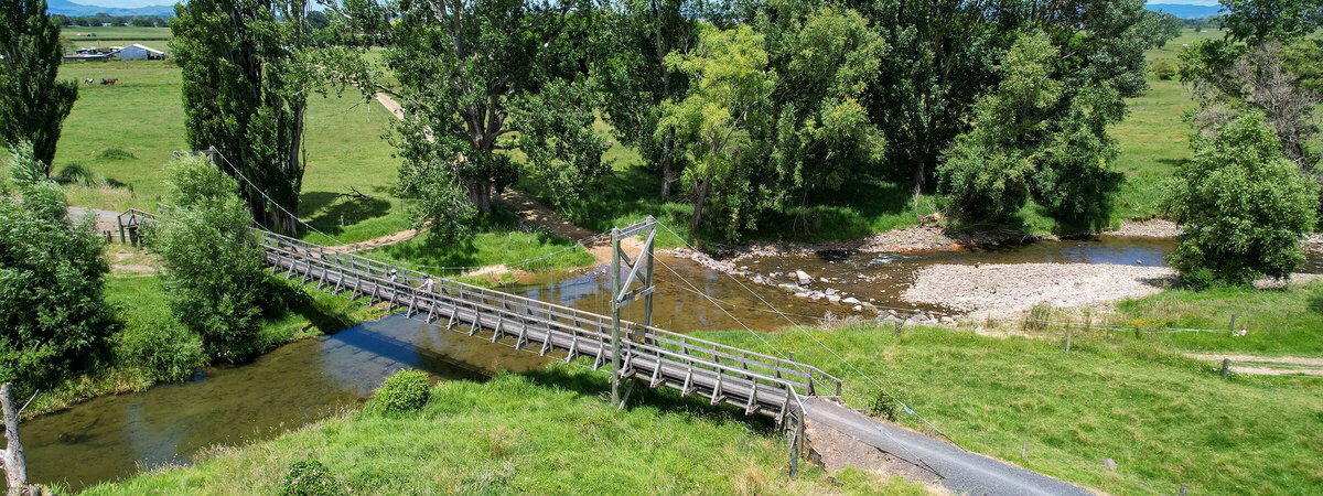 Hauraki Rail Trail Tour | ½ Day Cycling Adventure