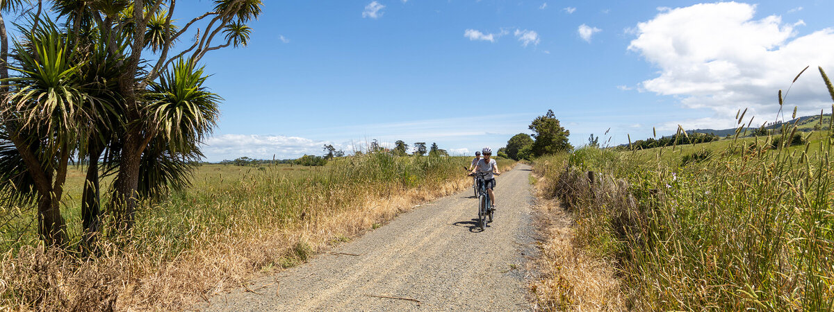 Hauraki Rail Trail Tour | ½ Day Cycling Adventure