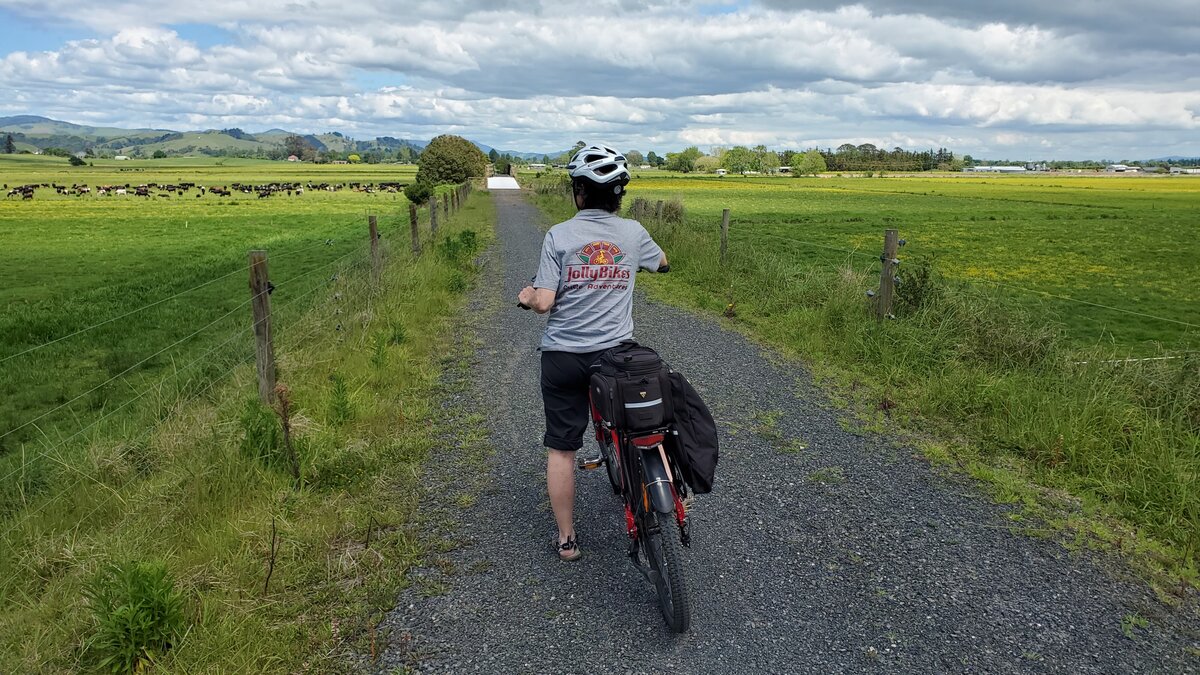 Hauraki Rail Trail Tour | 5 Day Cycling Adventure