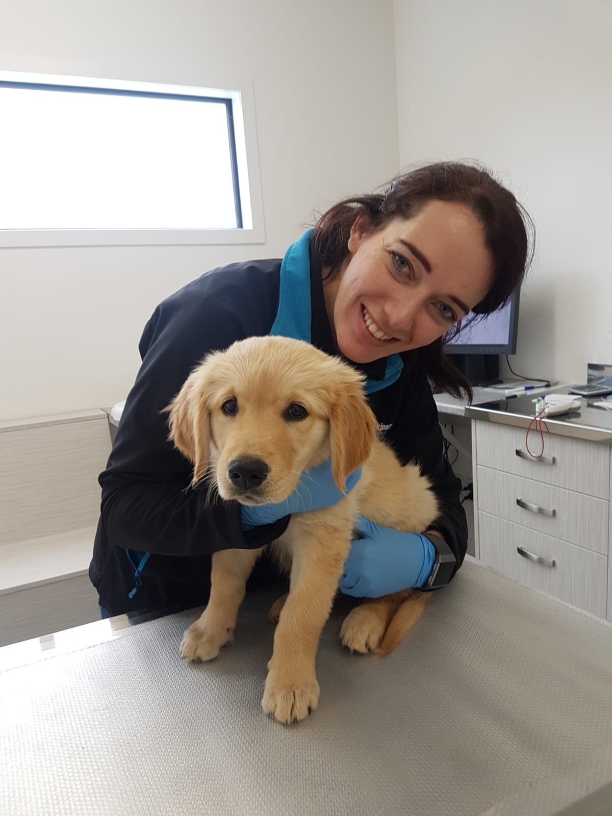 Global Veterinary Services NZ Veterinary Jobs Vet Nurse/Tech