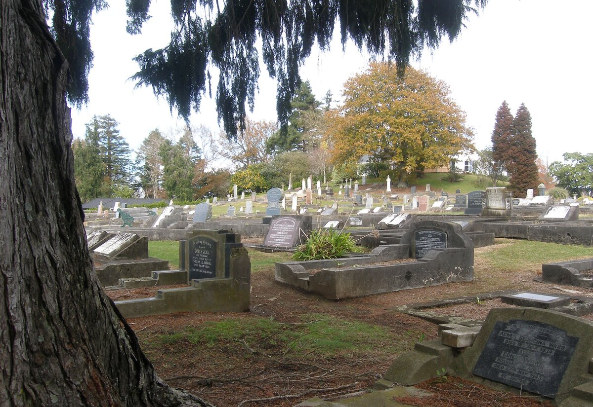 Cemetery All | Morrinsville Museum