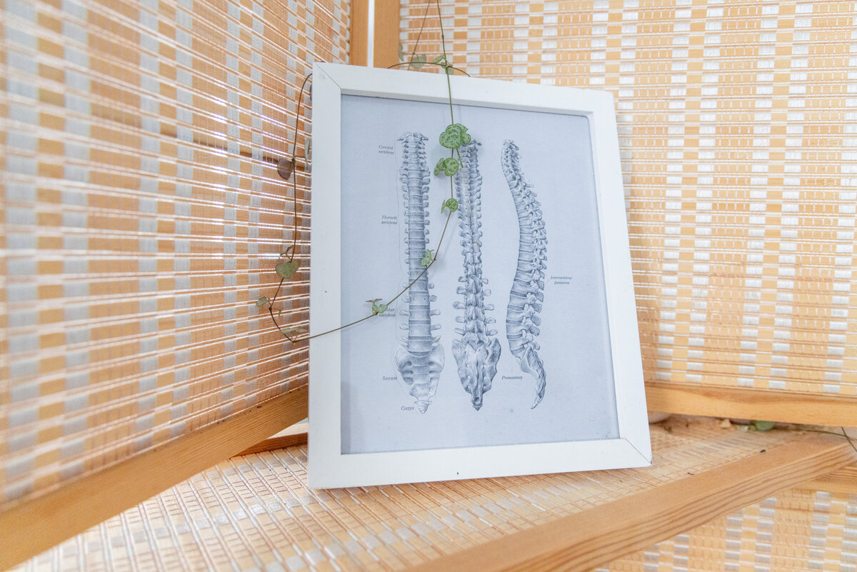 Gallery | Amy OBrien Contact C.A.R.E Morrinsville