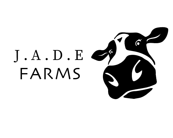 Big Red Creations Mitchell Laverick Freelance Design | Big Red Creations