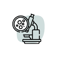 Transrectal Prostate Biopsy | Bay Urology