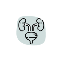 Vesicoureteric Reflux | Bay Urology