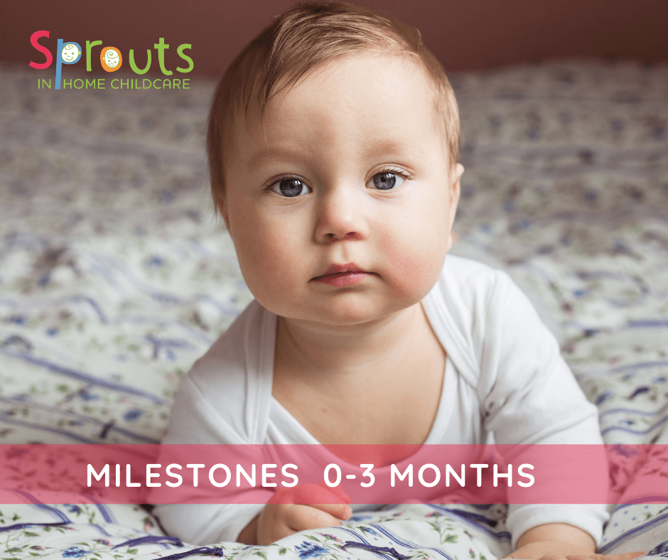 Early Childhood Development Milestones (0-5) | Sprouts In-Home Childcare