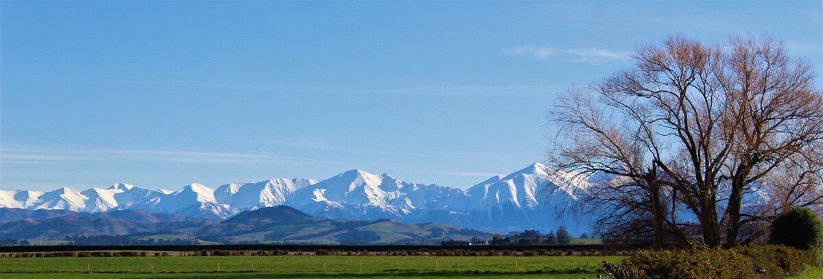 Malvern News, Darfield | Rolleston Newspaper & Copy Centre | Malvern News