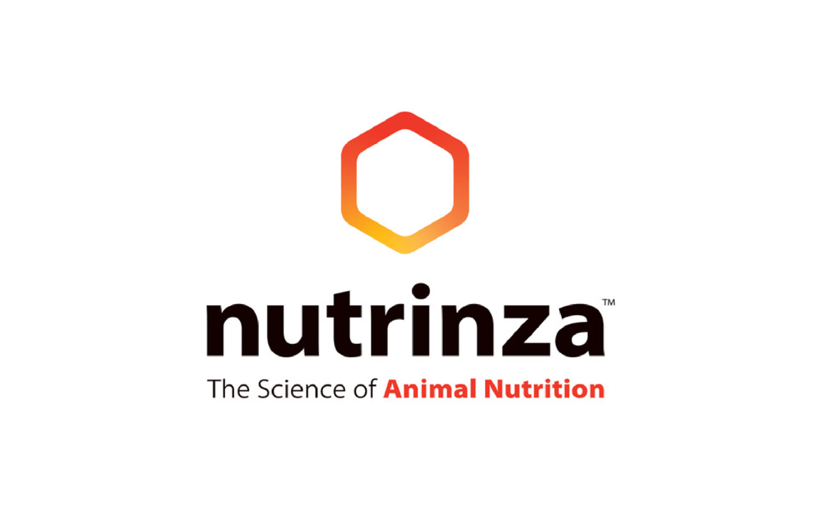 Home | Intelact Limited