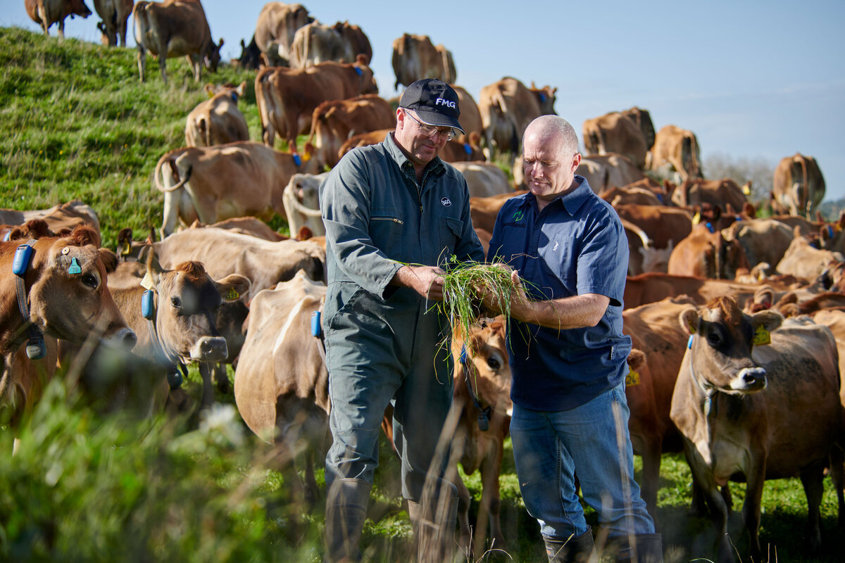 About | Intelact Limited